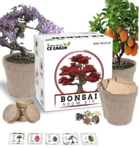 bonsai tree kit – grow 5 species of bonsai tree w/ our all-in-one plant kit: bonsai pots & peat pellets including a tutorial video by cz grain | great gardening gifts for women and men