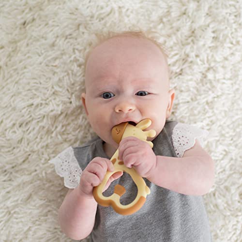 Dr. Brown’s Ridgees Giraffe, Massaging Baby Teether, Designed by a Pediatric Dentist, BPA Free, 3m+