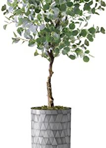 Artificial Tree in Modern Triangle Pattern Planter, Fake Eucalyptus Silk Tree for Indoor and Outdoor Home Decoration - 66" Overall Tall (Plant Pot Plus Tree)