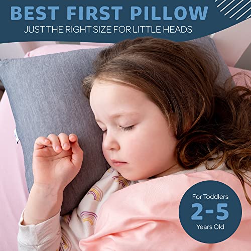 Pharmedoc Little Garoo Sleeping, Travel, Mini Polyester Pillow with Pillowcase for Toddler 14x19, 1 Count (Pack of 1), Grey Cooling