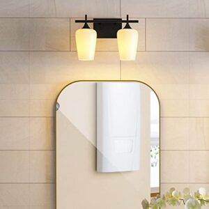 Tribesigns 2-Light Black Modern/Contemporary Vanity Light