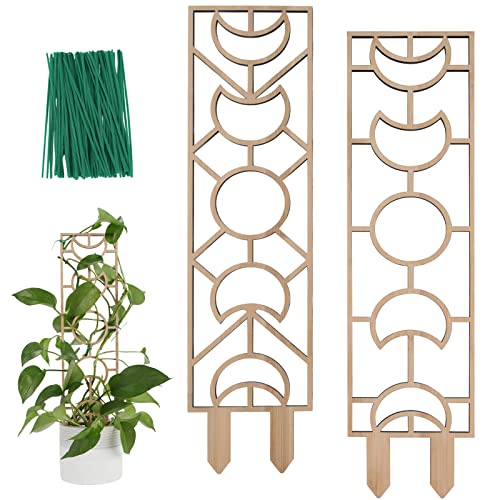 WellSign Plant Trellis for Climbing Plants Indoor Pot, 16.3 inch Small Wooden Trellis for Potted Plants with Moisture-Proof Layer for Vines Ivy Hoya Houseplants, Moon and Geometric Shape Design 2 Pack