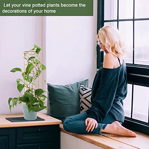 WellSign Plant Trellis for Climbing Plants Indoor Pot, 16.3 inch Small Wooden Trellis for Potted Plants with Moisture-Proof Layer for Vines Ivy Hoya Houseplants, Moon and Geometric Shape Design 2 Pack