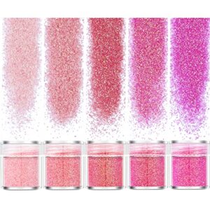 35 grams fine glitter, 5 colors pink extra fine glitter, holographic ultra fine glitter for makeup body nail face hair eyeshadow lip gloss, arts crafts slime resin glitter sequins set