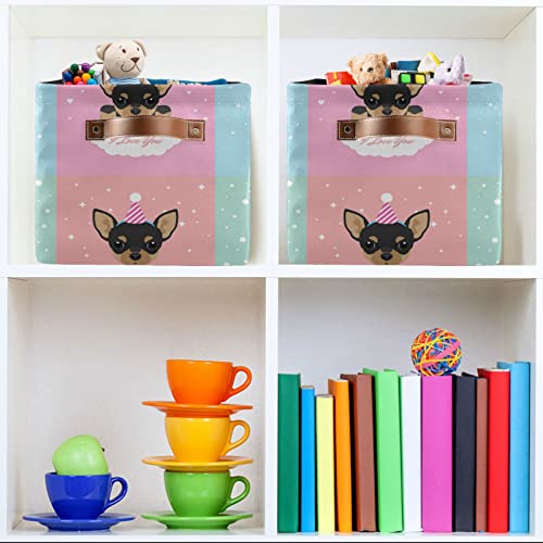 Chihuahua Puppy Snows Storage Basket Dog Storage Organizer Box Bin Large Collapsible Cube Baskets with PU Handles for Shelf Closet Nursery Laundry 1 Pack