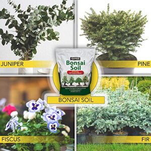 Harris Bonsai Soil, All Purpose Premium Blend for Outstanding Growth, 2qt