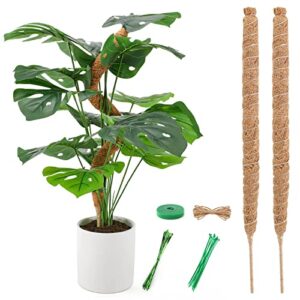 lmaive moss pole, moss pole for plants monstera, 2pcs 25'' bendable monstera moss pole, moss poles for climbing plants, monstera pole plant pole