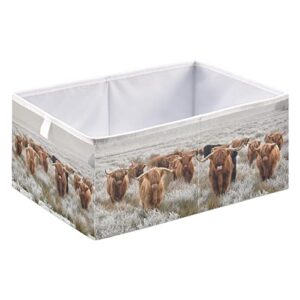 scottish highland cow in a natural winter collapsible open storage bins, foldable toy nursery storage basket bin cloth cube rectangular organizer with handles for shelves closet home decor