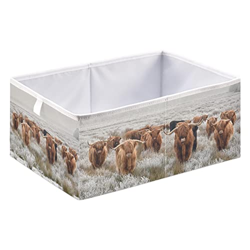 Scottish Highland Cow in A Natural Winter Collapsible Open Storage Bins, Foldable Toy Nursery Storage Basket Bin Cloth Cube Rectangular Organizer with Handles for Shelves Closet Home Decor