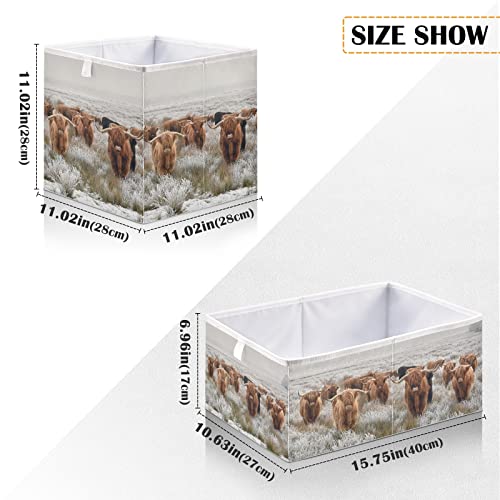 Scottish Highland Cow in A Natural Winter Collapsible Open Storage Bins, Foldable Toy Nursery Storage Basket Bin Cloth Cube Rectangular Organizer with Handles for Shelves Closet Home Decor