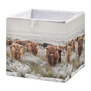 Scottish Highland Cow in A Natural Winter Collapsible Open Storage Bins, Foldable Toy Nursery Storage Basket Bin Cloth Cube Rectangular Organizer with Handles for Shelves Closet Home Decor