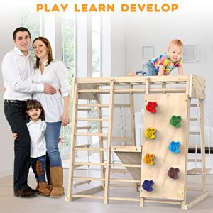 Indoor Jungle Gym, Toddler Climbing Toys Indoor, Indoor Playground Climbing Toys for Toddlers, Climber Playset with Slide, Climbing Rock/Net, Monkey Bars, Drawing Board, Abacus Game and Swing