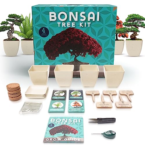 Indoor Bonsai Tree Kit - Bonsai Tree Starter Plant Kit + Bonsai Seeds Gift Sets - Arts and Crafts DIY Kits for Adults, Unique Gardening Gifts for Women & Men, Plant Lovers Gift Gardening Craft Kits