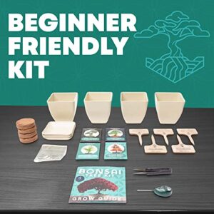 Indoor Bonsai Tree Kit - Bonsai Tree Starter Plant Kit + Bonsai Seeds Gift Sets - Arts and Crafts DIY Kits for Adults, Unique Gardening Gifts for Women & Men, Plant Lovers Gift Gardening Craft Kits