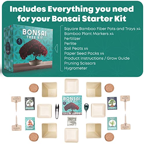 Indoor Bonsai Tree Kit - Bonsai Tree Starter Plant Kit + Bonsai Seeds Gift Sets - Arts and Crafts DIY Kits for Adults, Unique Gardening Gifts for Women & Men, Plant Lovers Gift Gardening Craft Kits