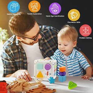 AiTuiTui Baby Montessori Toys for 1 Year Old Boy Girl Gifts, Shape Sorter Sensory Bin 6 12 18 Months Toys, Toddler Travel Fine Motor Skill Activity Learning Toys for Baby 1st Birthday