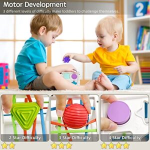 AiTuiTui Baby Montessori Toys for 1 Year Old Boy Girl Gifts, Shape Sorter Sensory Bin 6 12 18 Months Toys, Toddler Travel Fine Motor Skill Activity Learning Toys for Baby 1st Birthday