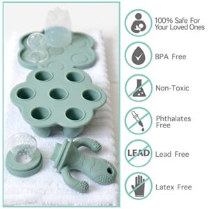 Little Twig Baby Fruit Feeder Pacifier Teether | Baby Food Freezer Tray with Lid | BPA Free Silicone Freezable Teether | Feeding Set for Breast Milk Ice Cubes, Baby Food, Vegetable Fruit Purees