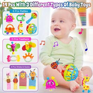 Baby Rattles 0-6 Months - 14 Pcs Baby Rattle Toys Set Infant Toys for 0-3 Months Baby Toys 3-6 Months Newborn Toys with Teething and Wrist Socks Rattle for 0 1 2 3 4 5 6 7 10 12 Month Babies Boy Girl