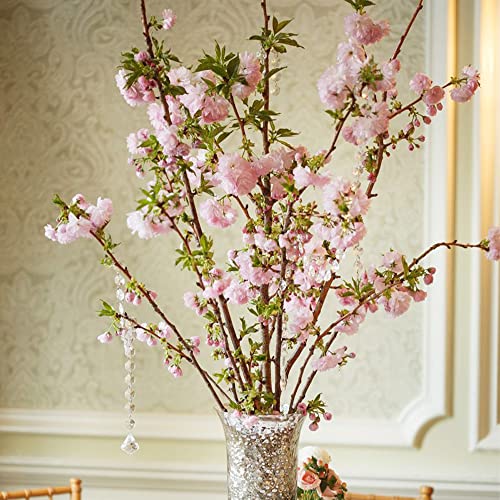 QAUZUY GARDEN 50PCS Bonsai Tree Japanese Sakura Seeds Rare Japanese Cherry Blossoms Flowers Seeds in Bonsai Pink Prunus Serrulata Fragrant Fast-Growing Low-Maintenance