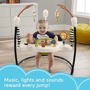 Fisher-Price Baby Bouncer Palm Paradise Jumperoo Activity Center With Music Lights Sounds And Developmental Toys