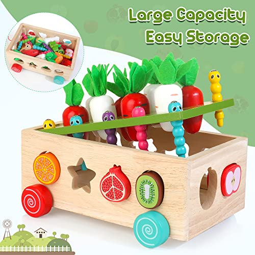 Winique Wooden Montessori Toys for 1 2 Year Old, Educational Learning Toys for Boys Girls, Shape Sorter Toddler Toys Gifts for 2 Year Old Girl Preschool Fine Motor Skills