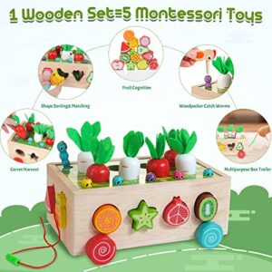 Winique Wooden Montessori Toys for 1 2 Year Old, Educational Learning Toys for Boys Girls, Shape Sorter Toddler Toys Gifts for 2 Year Old Girl Preschool Fine Motor Skills