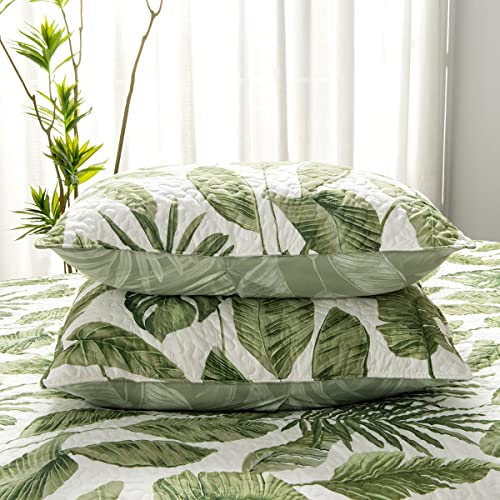 HORIMOTE HOME Tropical Plants Quilt Set King Size 3 Pieces, Green Palm Leaves Rainforest Style Fine Printed Reversible Bedspreads Bedding Sets, Soft and Lightweight Bed Coverlet for All Season