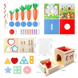 Asweets 8 in 1 Montessori Toys for 1 Year Old Includes Object Permanence Box，Montessori Coin Box，Carrot Harvest Game，Matchstick Color Drop Game，Ball Drop Learning Toys for 6-12 Months