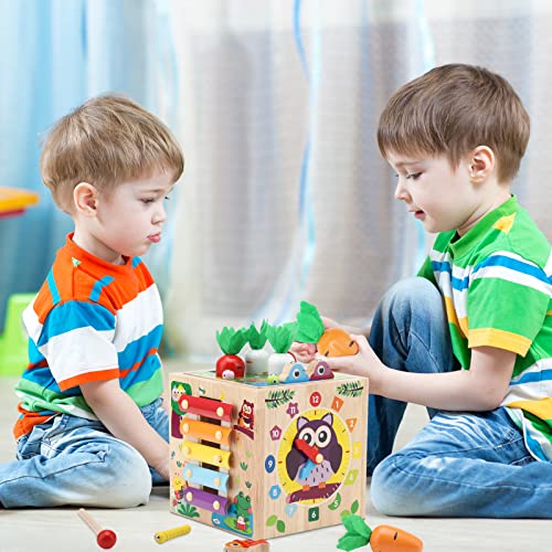 Resumplan 8 in 1 Activity Cube for 18M+ Boys and Girls, Wooden Montessori Toys for Baby, Educational Learning Toys for Toddlers