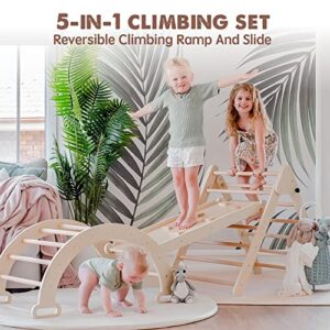 Tiny Land 5 in 1 Pikler Triangle Set, Baby Climbing Toys Indoor Playground, Foldable Toddler Climbing Toys, Wooden Montessori Climbing Set for 2-6 Years, Jungle Gym for Kids