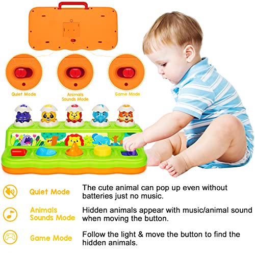 Duchong Interactive Pop Up Animals Eggs Toy with Music & Sound, Early Developmental Learning Sensory Toy for 1Year Old & 9-12-18 Months Baby, Girls & Boys