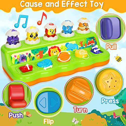 Duchong Interactive Pop Up Animals Eggs Toy with Music & Sound, Early Developmental Learning Sensory Toy for 1Year Old & 9-12-18 Months Baby, Girls & Boys