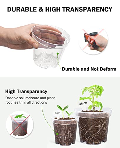 homenote Clear Nursery Pots, 60 Packs 3 Inches Seedling Pots with Drainage Holes, High Transparency Plant Pots Durable Seed Starter Pots Reusable for Plants Vegetables with Bonus 20 Plant Labels