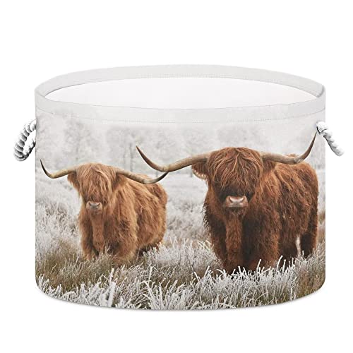 PAYOHTO Large Rope Basket Scottish Highland Cow Decor Baby Stuff Storage Baskets Blanket Clothes Pillows Toys Storage Bin Holder Water Resistant Laundry Hamper Farmhouse Living Room Western Home Decor