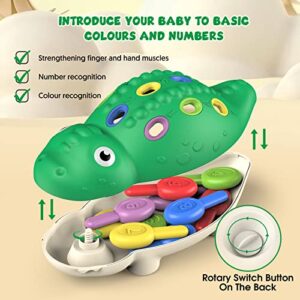 Baby Sensory Montessori Toys for 1 Year Old Boy,Toddler Toys Learning Educational Dinosaur Games,Fine Motor Skills Sorting Travel Toys, Birthday Gifts for 18+ Months Age 1 2 3 One Year Old Boys Girls