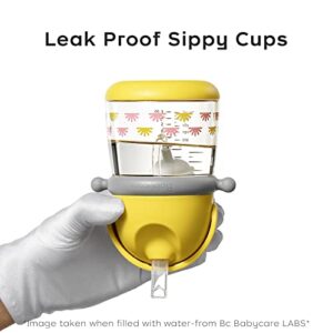 bc babycare Sippy Cups for 1+ Year Old