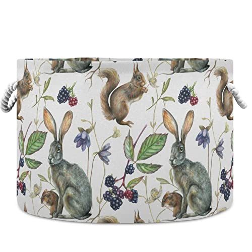 visesunny Forest Gray Hare Mouse Squirrel Flower Herb Berry Laundry Baskets Fabric Storage Bin Storage Box Collapsible Storage Basket Toy Clothes Shelves Basket for Bathroom,Bedroom,Nursery,Closet,Off