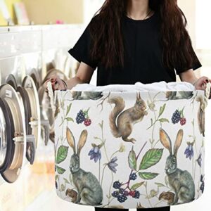 visesunny Forest Gray Hare Mouse Squirrel Flower Herb Berry Laundry Baskets Fabric Storage Bin Storage Box Collapsible Storage Basket Toy Clothes Shelves Basket for Bathroom,Bedroom,Nursery,Closet,Off