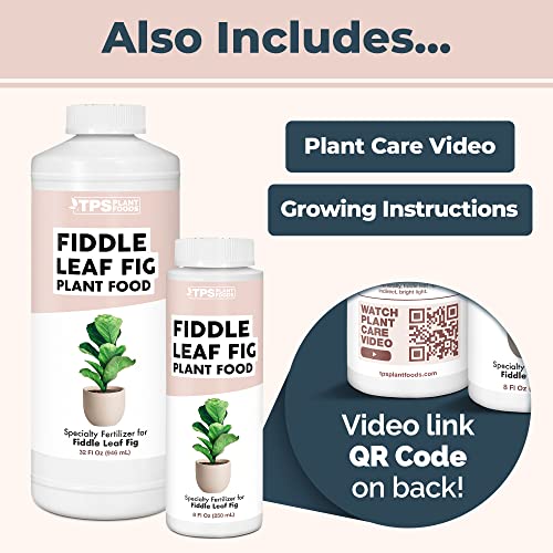 Fiddle Leaf Fig Plant Food for All Fig and Other Ficus Trees, Liquid Houseplant Fertilizer 8 oz (250mL)