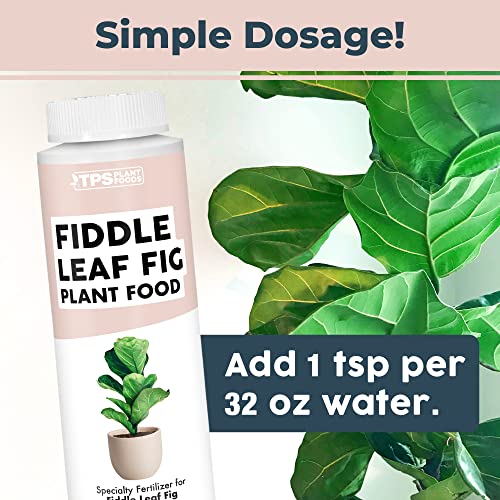 Fiddle Leaf Fig Plant Food for All Fig and Other Ficus Trees, Liquid Houseplant Fertilizer 8 oz (250mL)