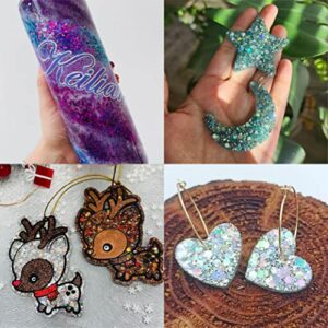 Holographic Chunky and Fine Glitter Mix, 45 Colors Festival Chunky Sequins & Fine Glitter Powder, Iridescent Glitter Flakes, Cosmetic Face Body Eye Hair Nail Art Resin Tumbler Glitter Loose Glitter