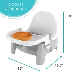 Summer Deluxe Learn-to-Dine Feeding Seat – Infant and Toddler Feeding Chair and Booster Seat with Tray and 2 Snap-in Plates