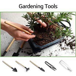 Meekear Bonsai Tree Kit with Complete Growing Starter Kit, Great Potted Growing DIY Gift for Adults