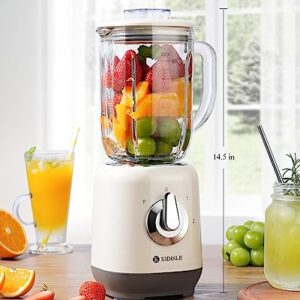 KIDISLE Retro Blenders for Kitchen, 34oz Glass Jar, 700W Smoothie Blender for Shakes and Smoothies, 3 Adjustable Speed for Milkshake, Ice Crush, Puree and Frozen Fruit, White