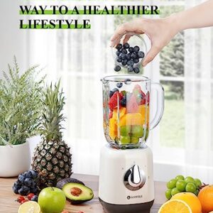 KIDISLE Retro Blenders for Kitchen, 34oz Glass Jar, 700W Smoothie Blender for Shakes and Smoothies, 3 Adjustable Speed for Milkshake, Ice Crush, Puree and Frozen Fruit, White