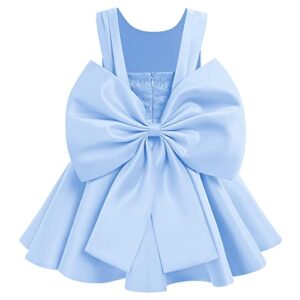 Baby Girl Wedding Outfit - Toddler Girls Party Princess Puffy Tutu Dress Bowknot Special Princess Pageant Christening Baptism Birthday Gowns Flower Girl Dress Light Blue - V Back 12-18 Months