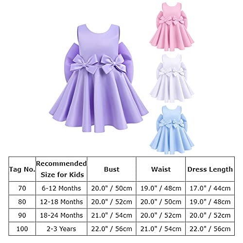 Baby Girl Wedding Outfit - Toddler Girls Party Princess Puffy Tutu Dress Bowknot Special Princess Pageant Christening Baptism Birthday Gowns Flower Girl Dress Light Blue - V Back 12-18 Months