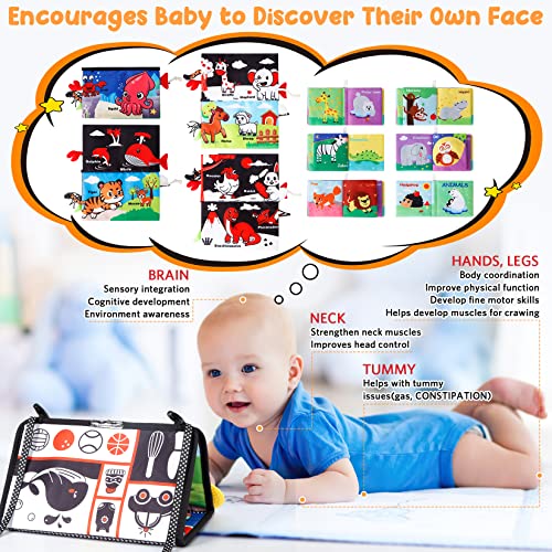 DRMATION Tummy Time Toys, Baby Play Mat 3 in 1 Baby Mirror and 2 Animal Theme Crinkle Cloth Books Kit,Montessori Infant Toys for Babies 0 3 6 9 Months Boys Girls Crawling Sensory Toy