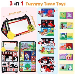 DRMATION Tummy Time Toys, Baby Play Mat 3 in 1 Baby Mirror and 2 Animal Theme Crinkle Cloth Books Kit,Montessori Infant Toys for Babies 0 3 6 9 Months Boys Girls Crawling Sensory Toy